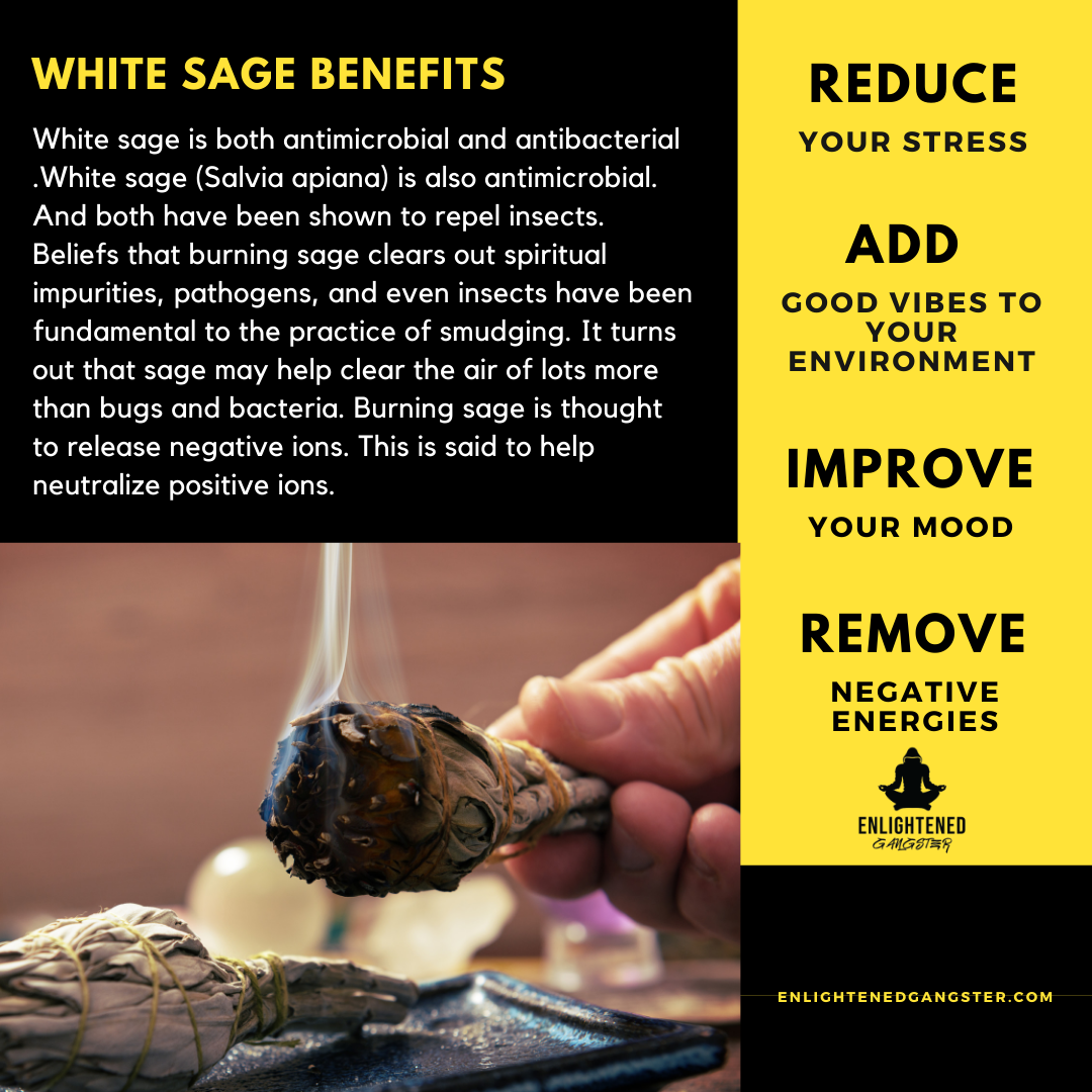 What is sage, how to use it and its benefits?